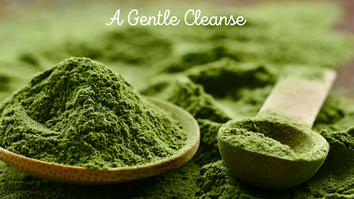 Montmorillonite clay for Colon Cleanse & Body Detox | Nature Reigns